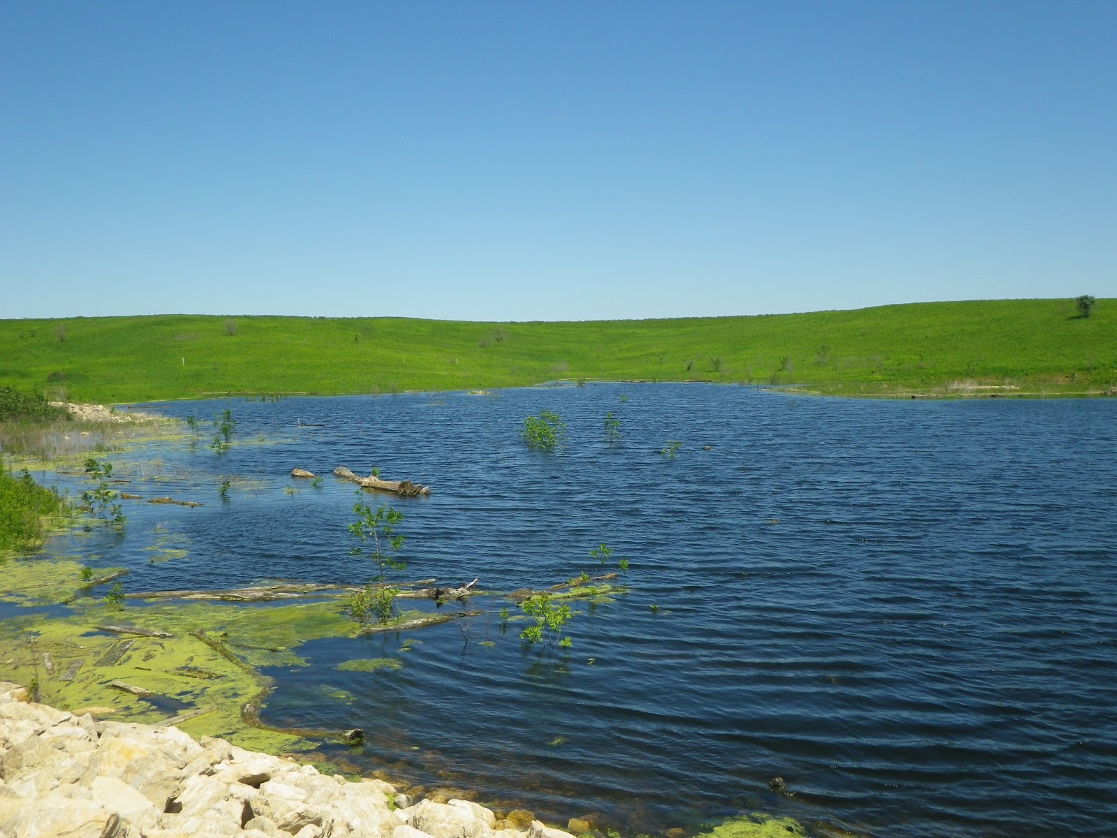 The Lost Grove Lake Mapping Project: It's Getting Closer To Full
