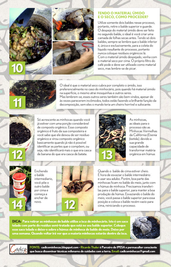 Manual ilustrado passo-a-passo: Confecção e manejo de minhocário ...