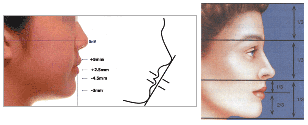 ID Hospital Korea: [ID hospital Korea] Self diagnosis for small chin