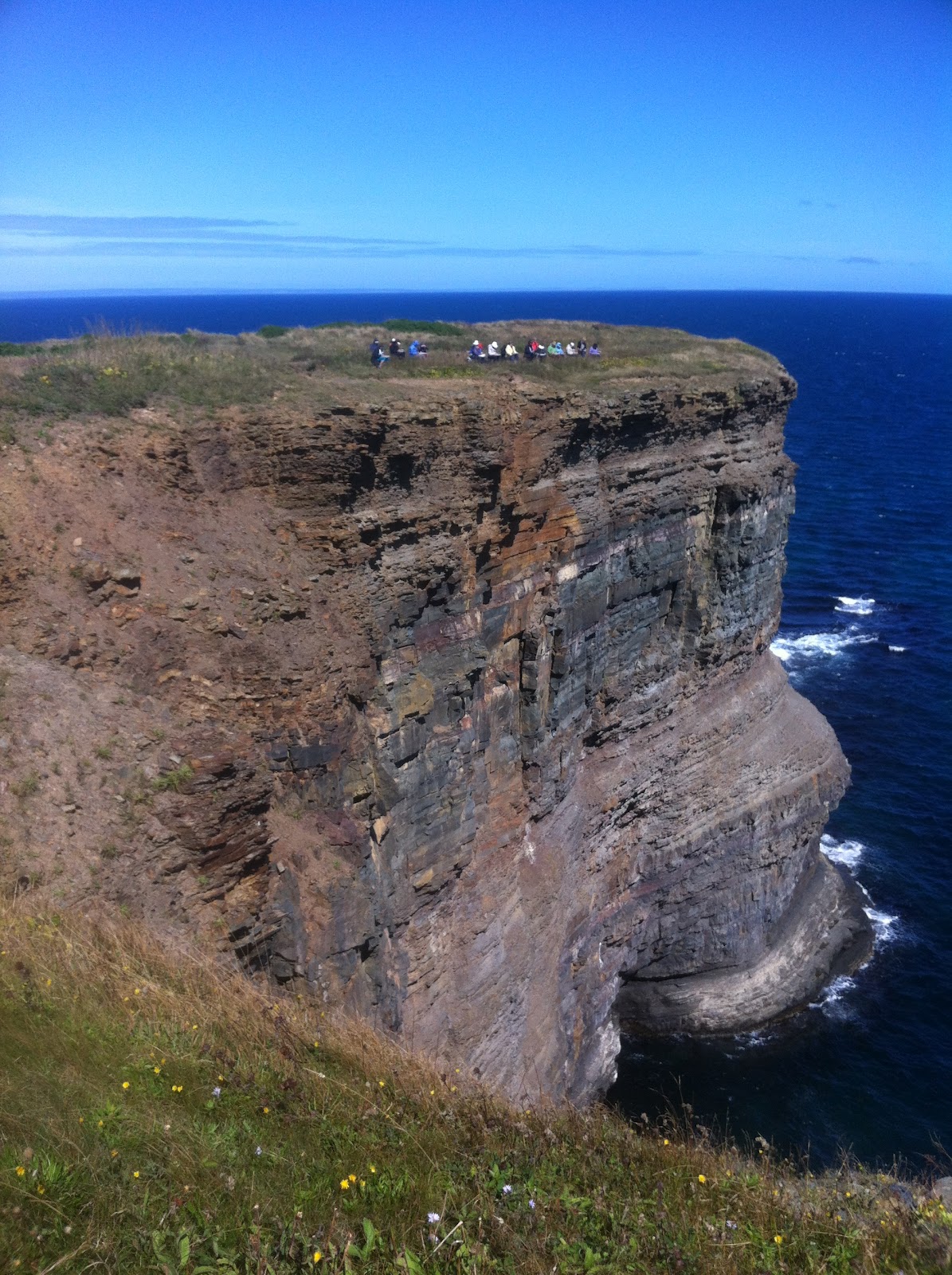 Love Wine, Will Travel: Artists Capture the Spirit of Newfoundland!
