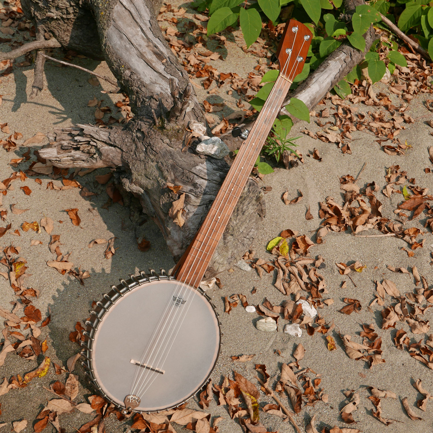 1880s Buckbee 5-String Fretless Banjo