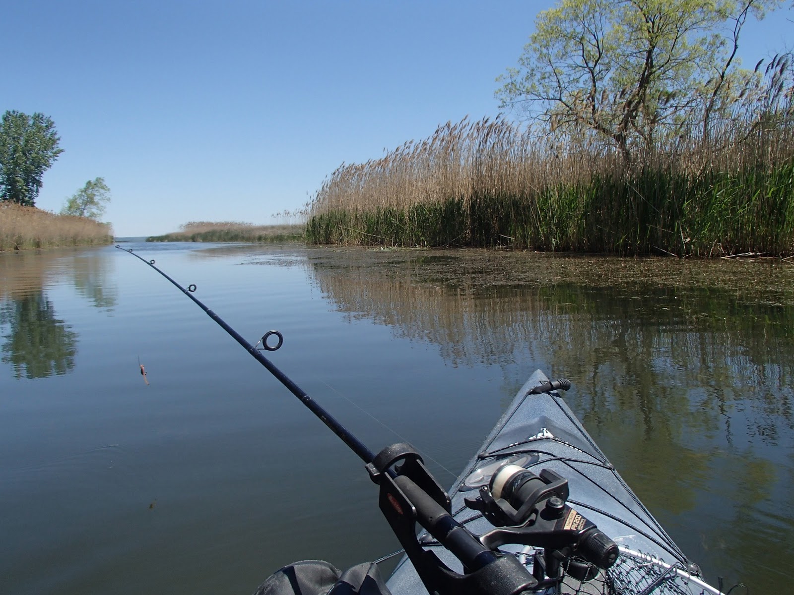 kayaker67adventures: Long Point Provincial Park Kayaking