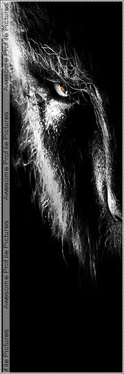 Horror And Scary Profile Pictures:Display Pictures | Awesome Profile ...