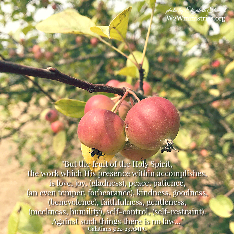 Fruits Of The Holy Spirit Tree