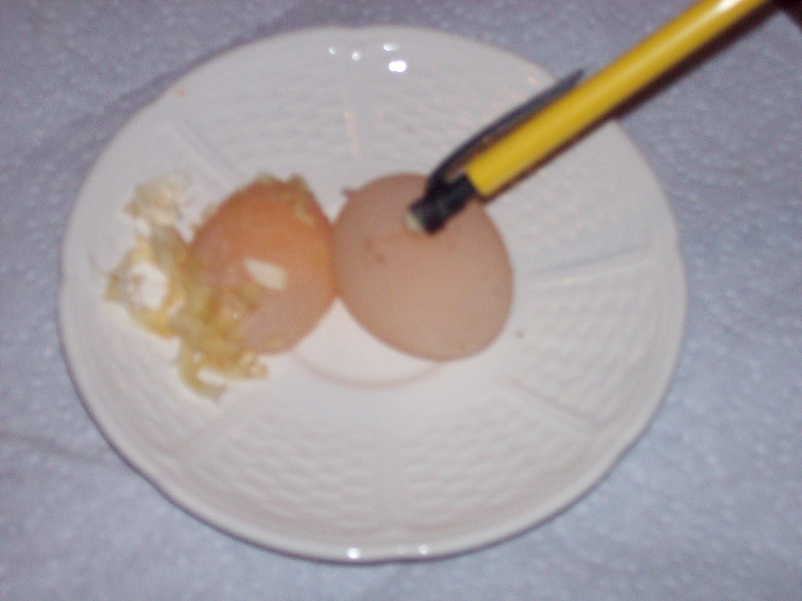 My Chicken And Egg Journal: Chicken Eggs, Double Yolks And Eggs With No ...