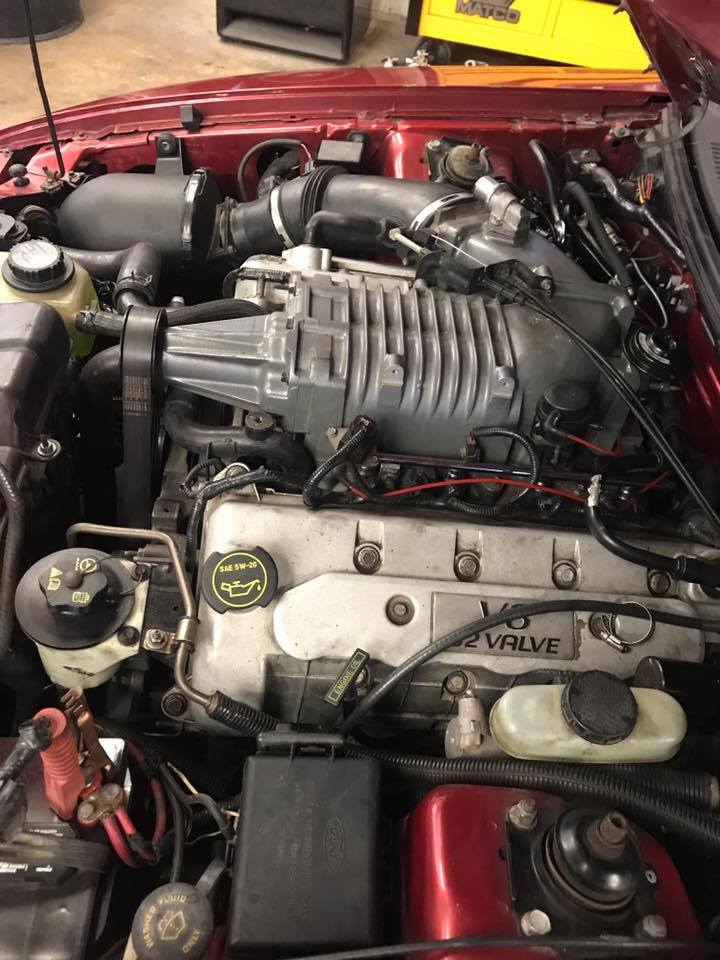 Whiteboy's Mustangs: 2003 mustang redfire terminator