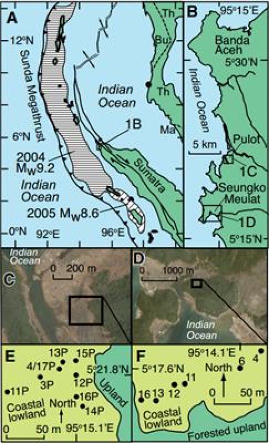 Understanding subduction zone earthquakes: The 2004 Sumatra earthquake