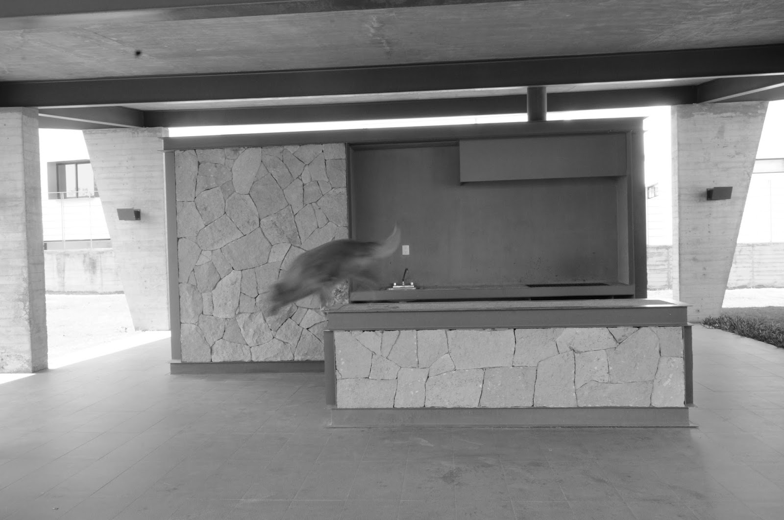 -PRÁCTICA DE BARRIDOS- | Mi vida entre fotografías