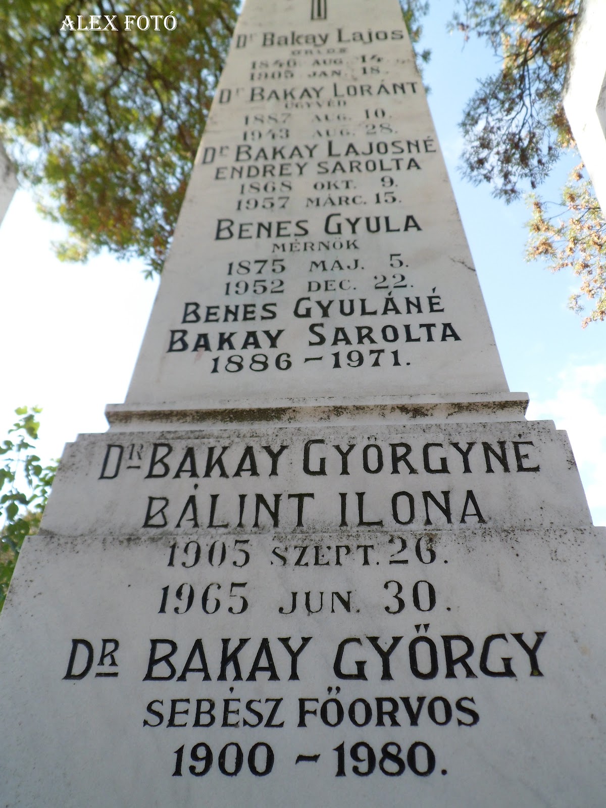 Helytörténetek: Bakay család