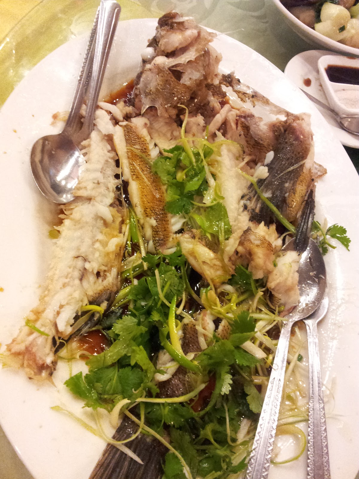 Mashed Thoughts: Gingeri Chinese Cuisine