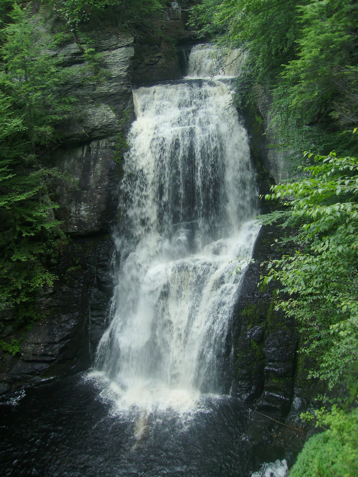Live Happily: Bushkill Falls!