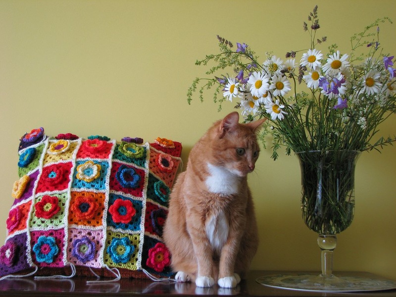 CRAFT - CROSET - TRICOT - KNIT: Pernuţe croşetate