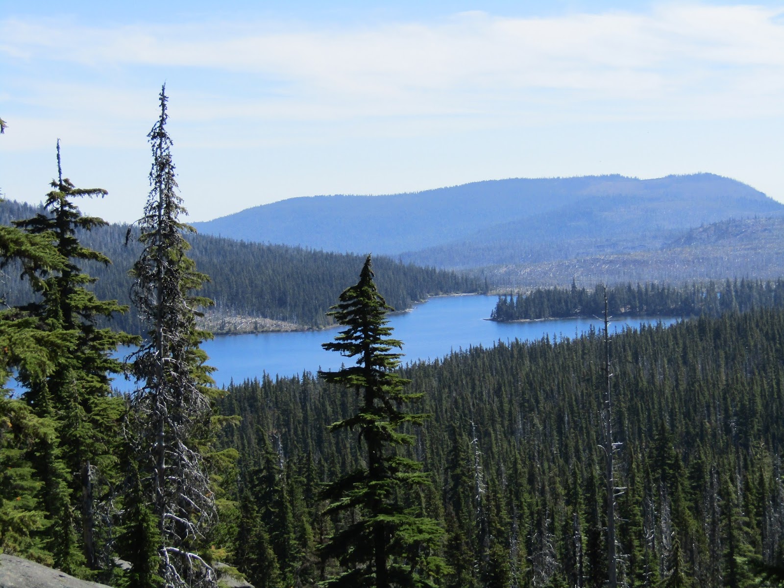 Holly's Horse Tales and Trails: South Breitenbush and Triangle Lake ...