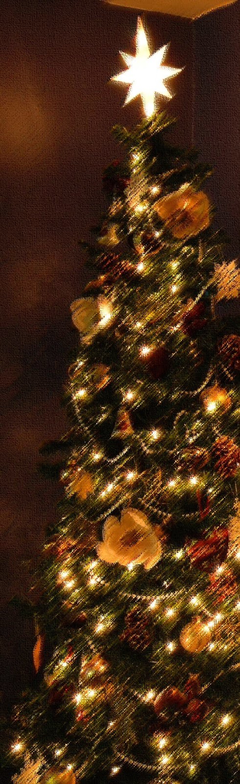 Entertaining Grace: O Tannenbaum - 10 steps to a beautiful tree