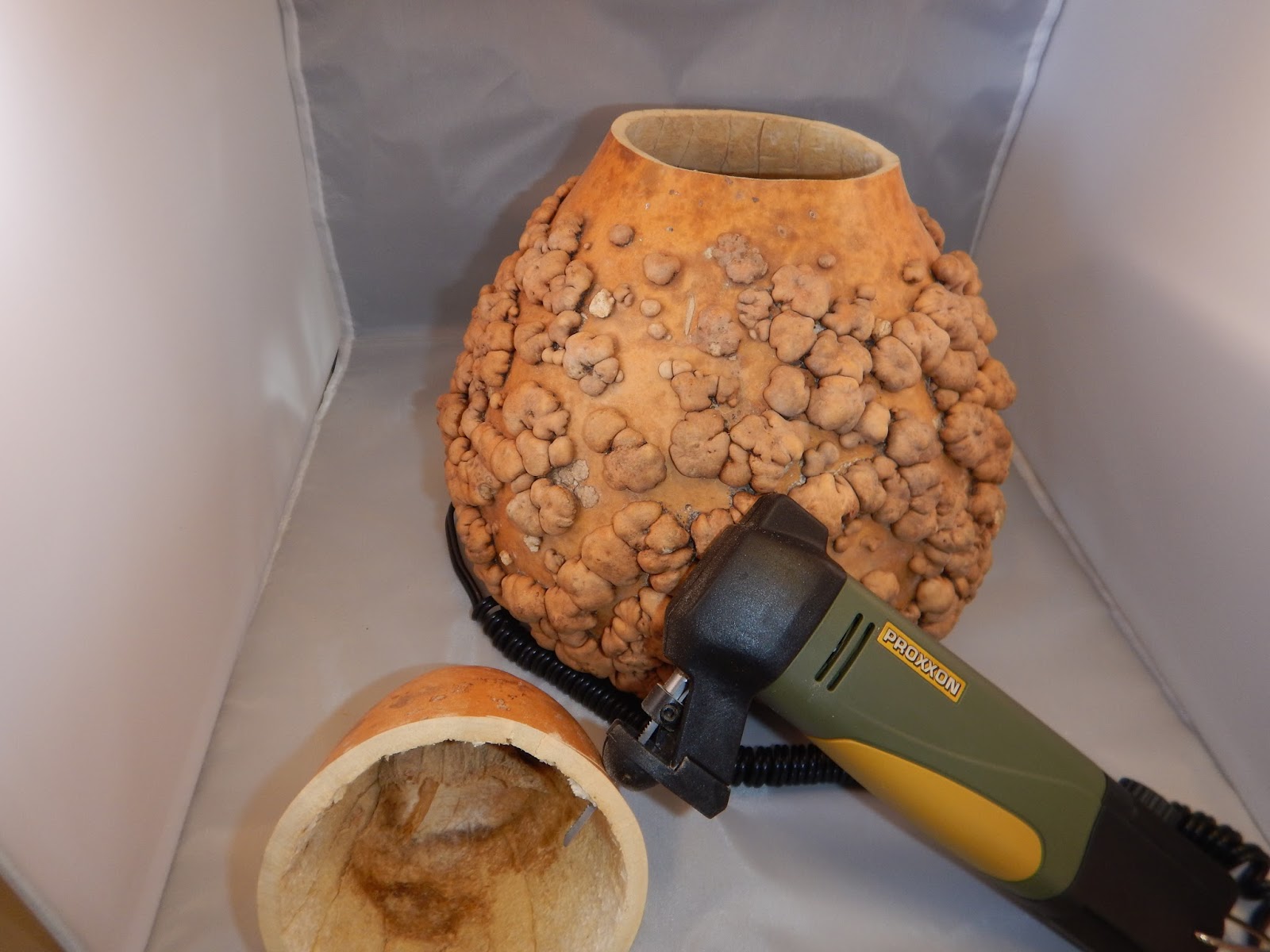 Tiny Tool Time: A New Gourd Project