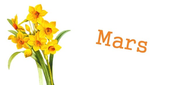 Fenêtres sur Classes: février 2017