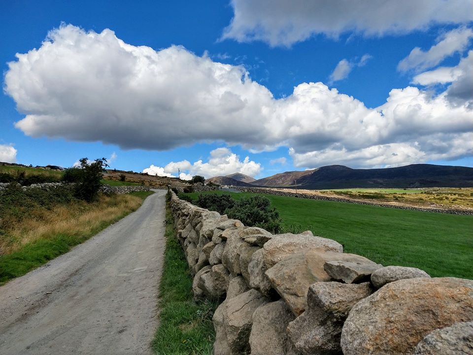A Passion For Cards: Some photos taken in Co. Down back in August