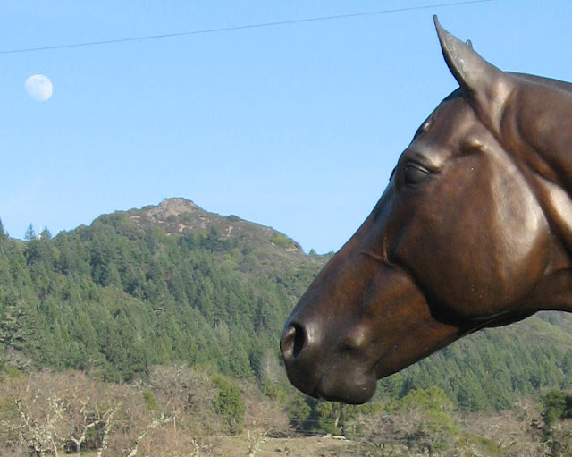 Willits Photo Overflow: Ridgewood Ranch, Home of Seabiscuit