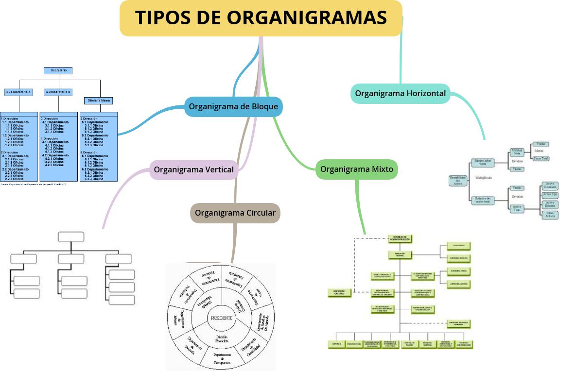 ADMINISTRACION DE EMPRESAS III: TIPOS DE ORGANIGRAMAS