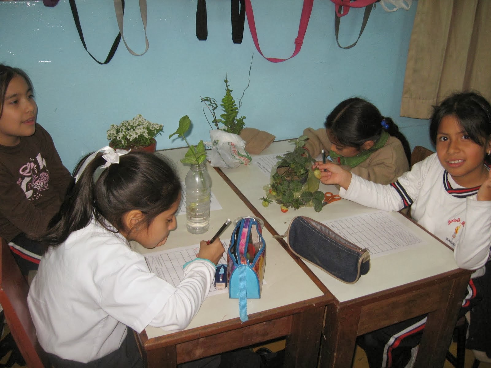 Importancia de la Educación Científica para el Desarrollo de un País: 2013