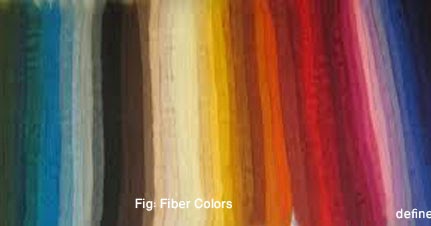 Fiber Color ~ Define Textile