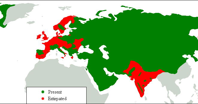 Abe's Animals: Canis range maps