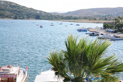 35 İZMİR: SEFERİHİSAR