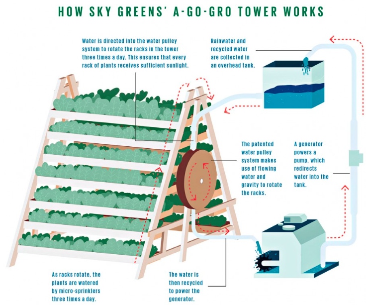 How Singapore's Sky Greens' A-Go-Gro Towers Work | Big Picture Agriculture