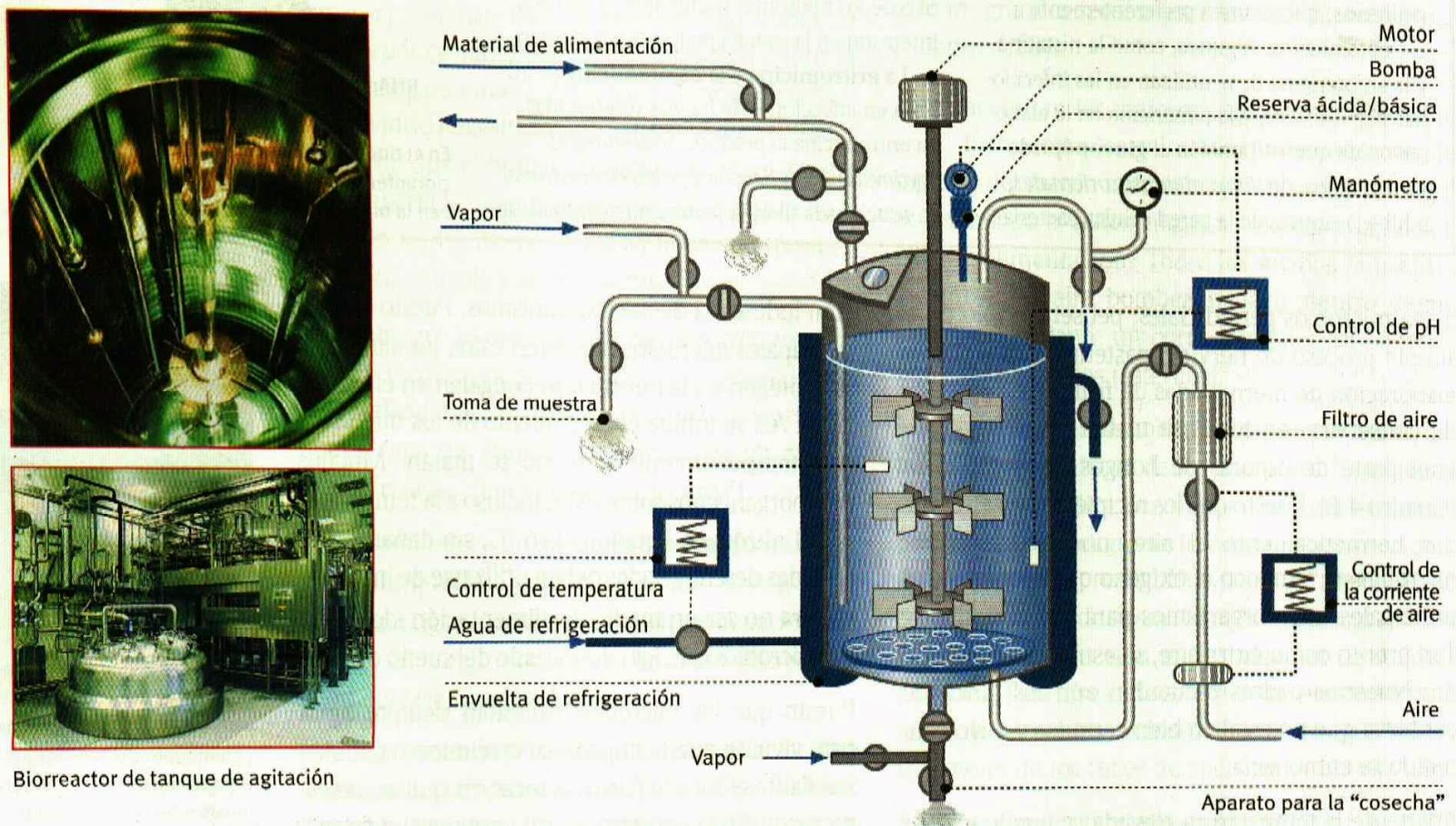Apuntes de Biotecnología: Biorreactores