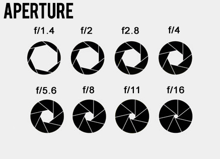 Memahami Aperture Dan DOF Pada Kamera - Yesternight Studios