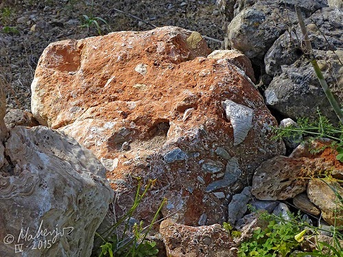 BIODIVERSIDAD COSTA GRANADINA Y...: Brecha y espeleotemas