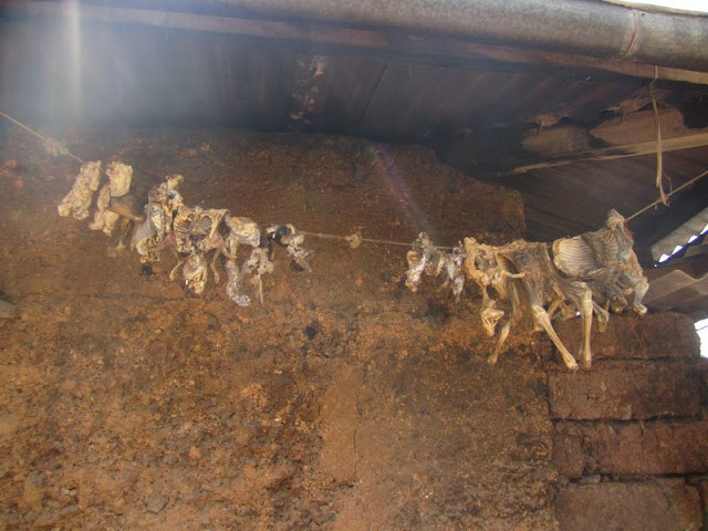 Sarah en Perú: Chillen! Tarma? Ok, wenns sein muss!