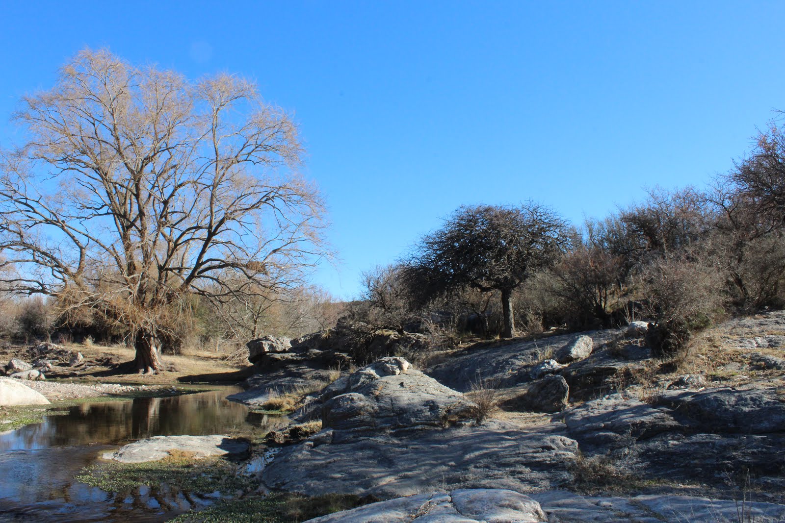 H2 Turismo Diferente