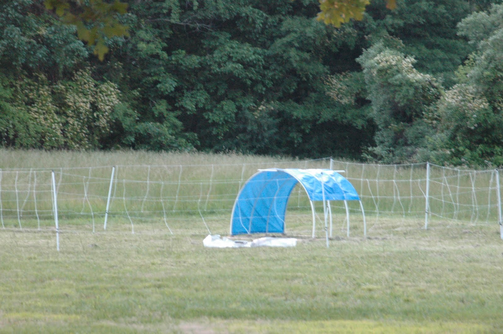 Green Legacy Farm: Moooovin' Along: Portable Calf Shelter