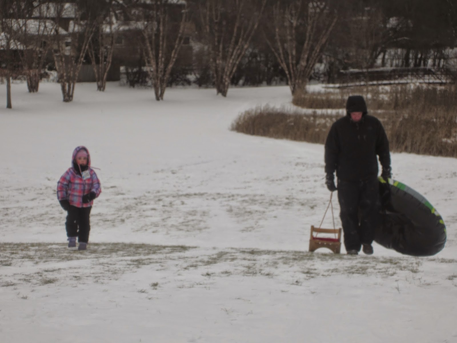 Healy Family Fun: Sledding on Grass