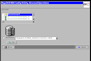 True System: LSI MegaRAID Advanced Software. Часть 1: MegaRAID Recovery