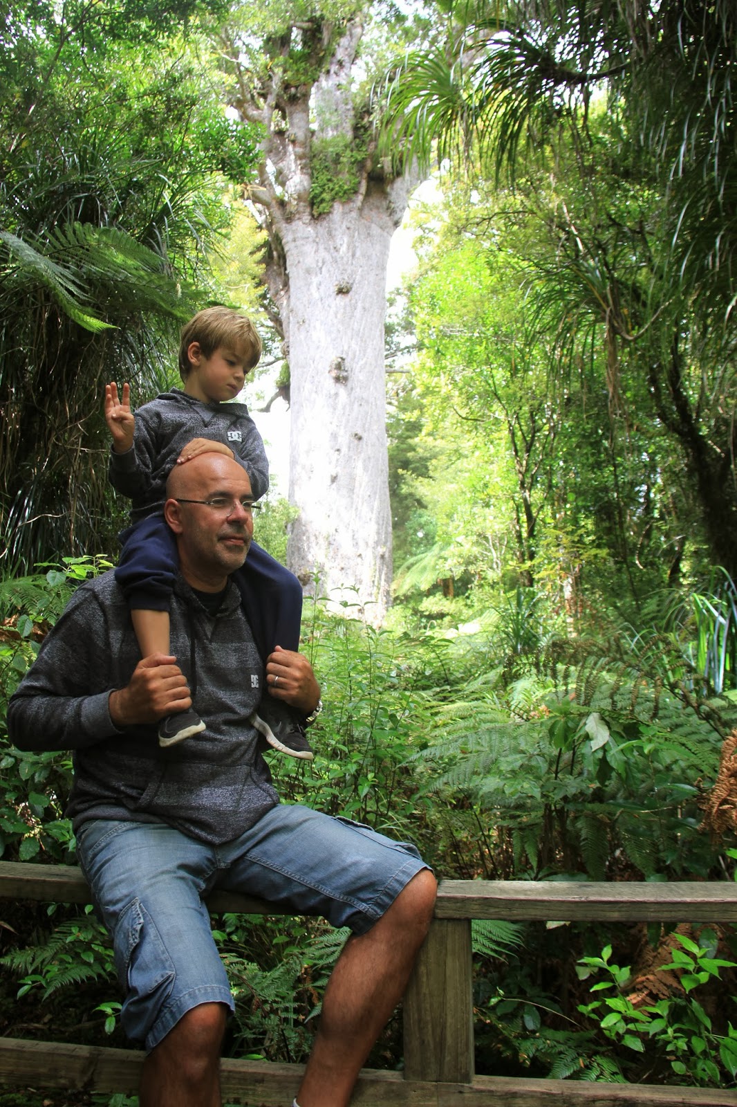 Weltreise 2014: Tane Mahuta & Te Matua Ngahere, 3rd of March 2014
