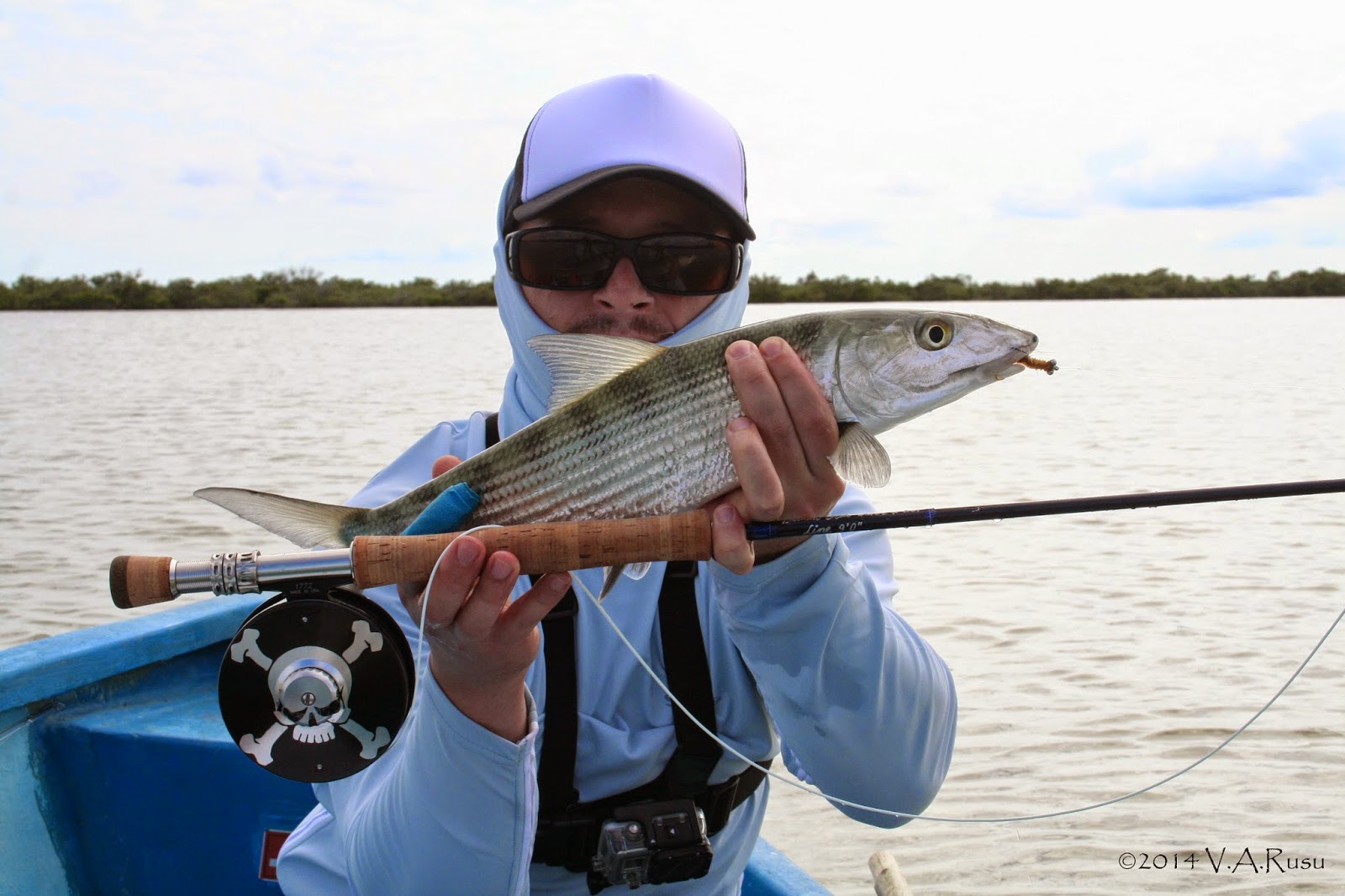 Vladys Fly Fishing Lair: Puros, ron y macabi...