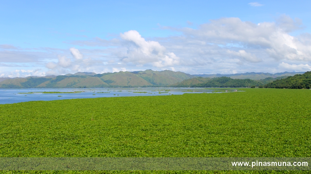 Ramon: Magat Dam and Hydro-Electric Power Plant