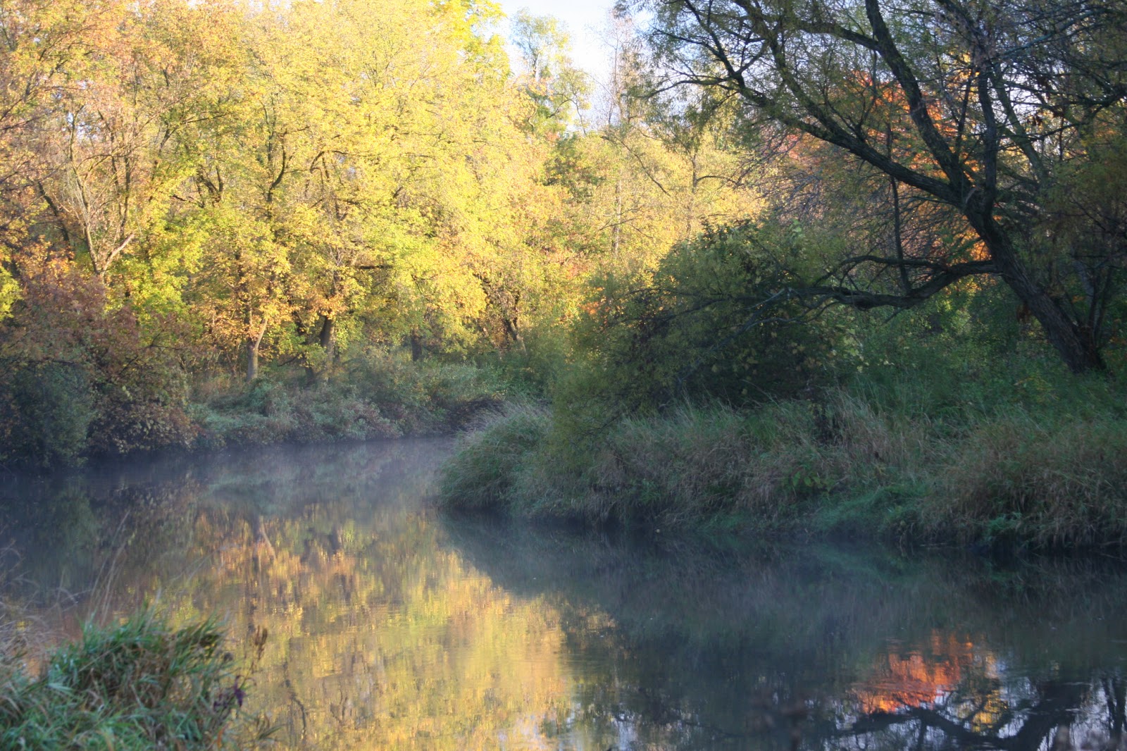 Isabella Conservation District Environmental Education Program: Water ...