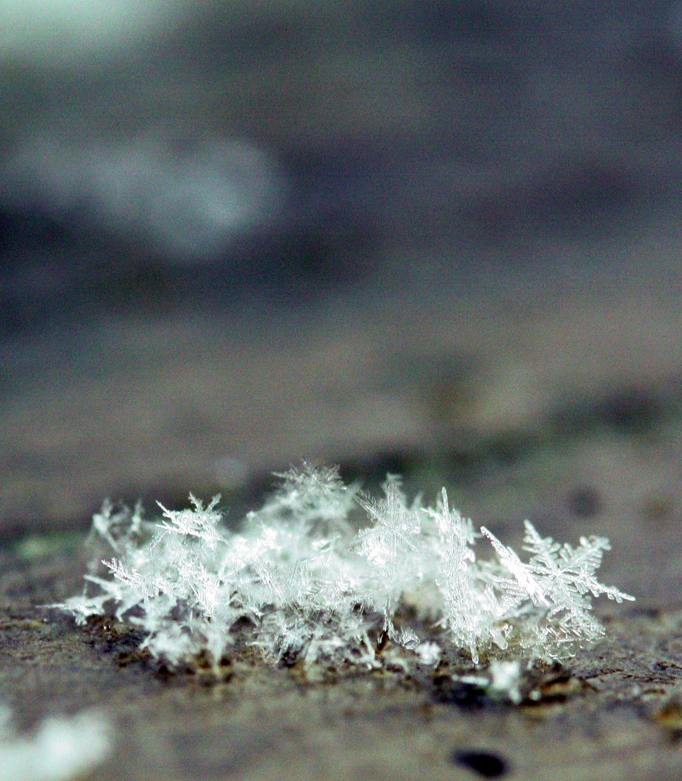 Something: Seeing the world