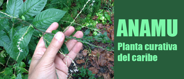 Todo sobre cancer, educacion, salud, Japón. Everything about cancer ...