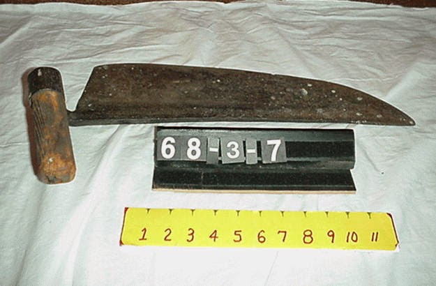 Prairie Stories: Making Hay While the Sun Shines