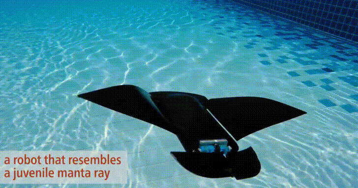 Super Punch: MantaDroid is "an aquatic robot that emulates the swimming ...