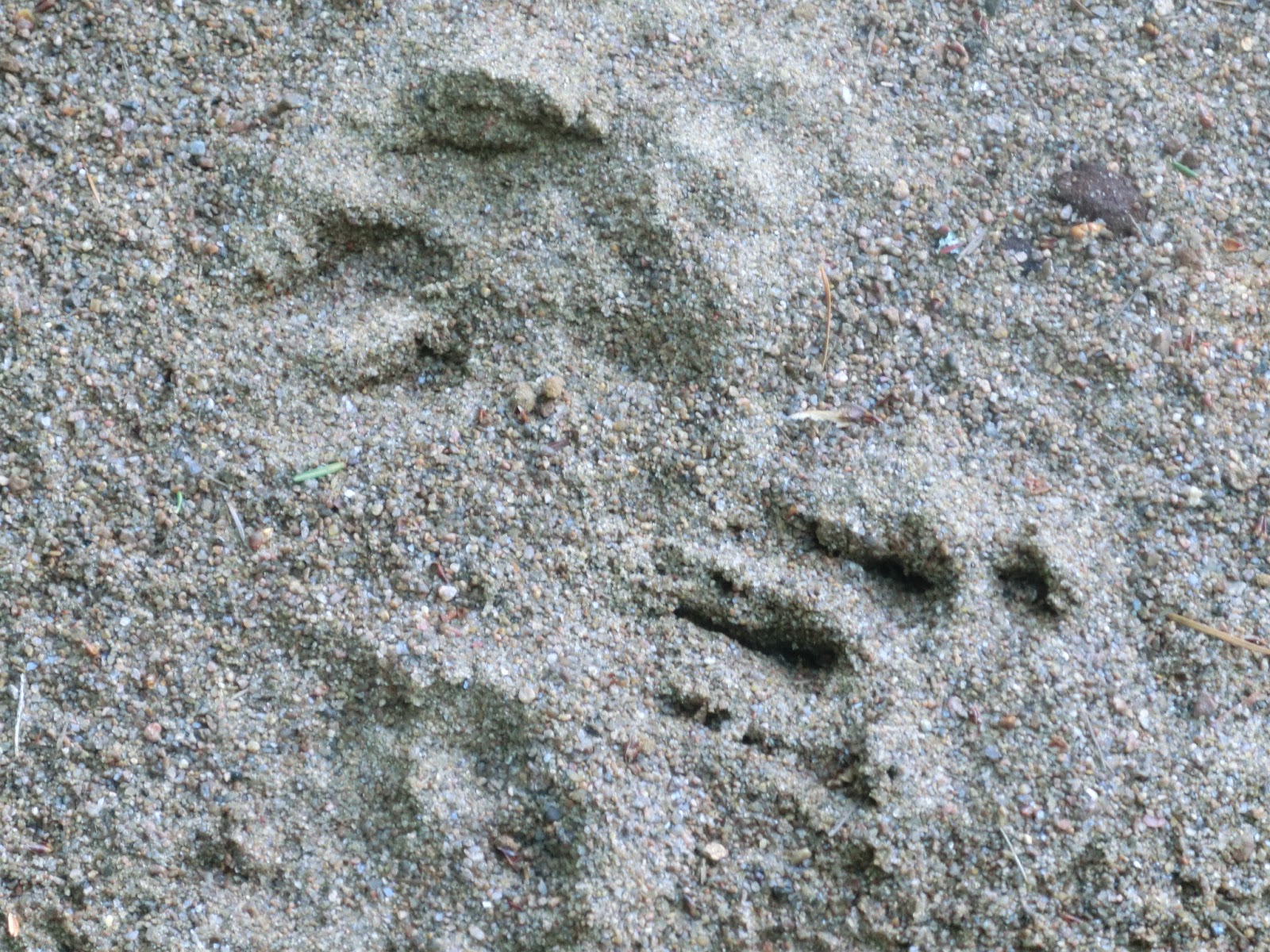 Nos aventures au Canada !: Centre Dansereau, à Pont-Rouge