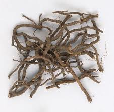 Plantas Medicinales, Recetas Caseras: +++ IPECACUANA