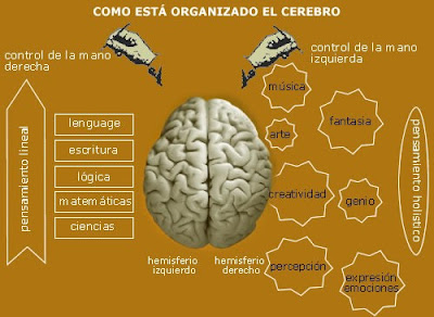 DESARROLLO DEL PENSAMIENTO Y LA INTELIGENCIA HUMANA: TEORIA DE LOS ...