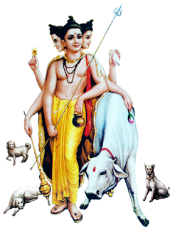 Shri Datta Tatva - Shri Shiridi Sai Baba