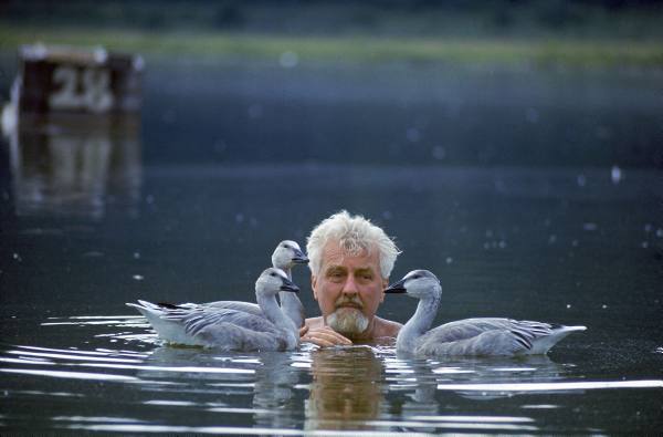 Philosophical Disquisitions: Griffiths and Wilkins on Evolutionary ...