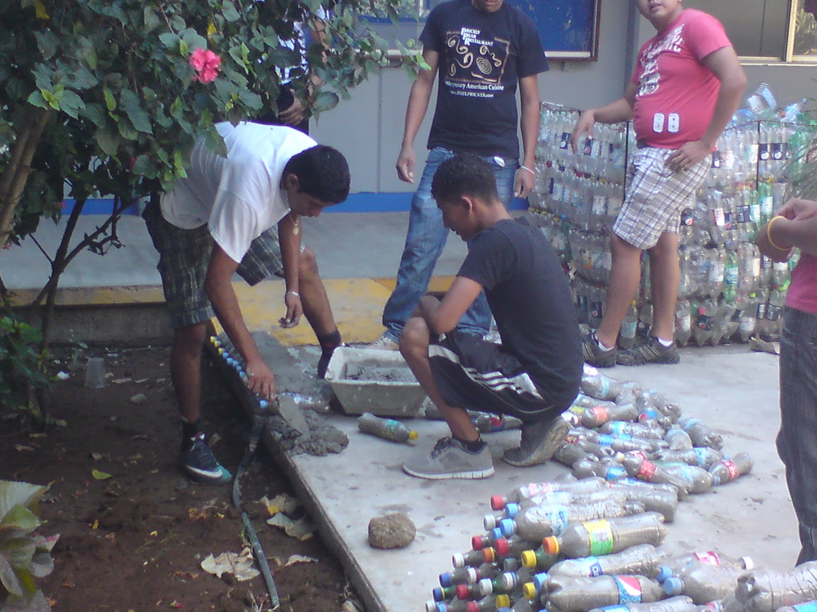 El Rincon de la luna: APLICACION DE PROYECTOS ECOLOGICOS EN EL CECYTEM ...